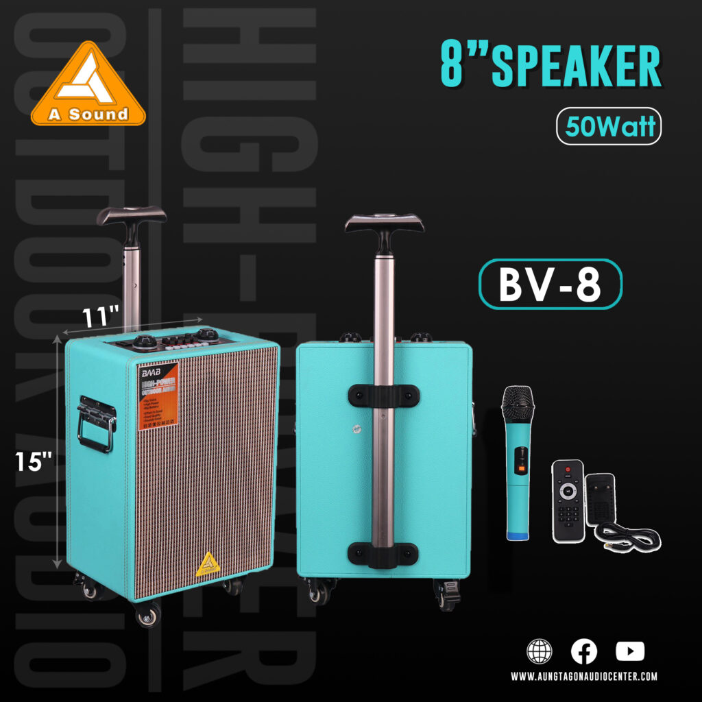 ASound B-V8 – AUNG TA GON Audio Center